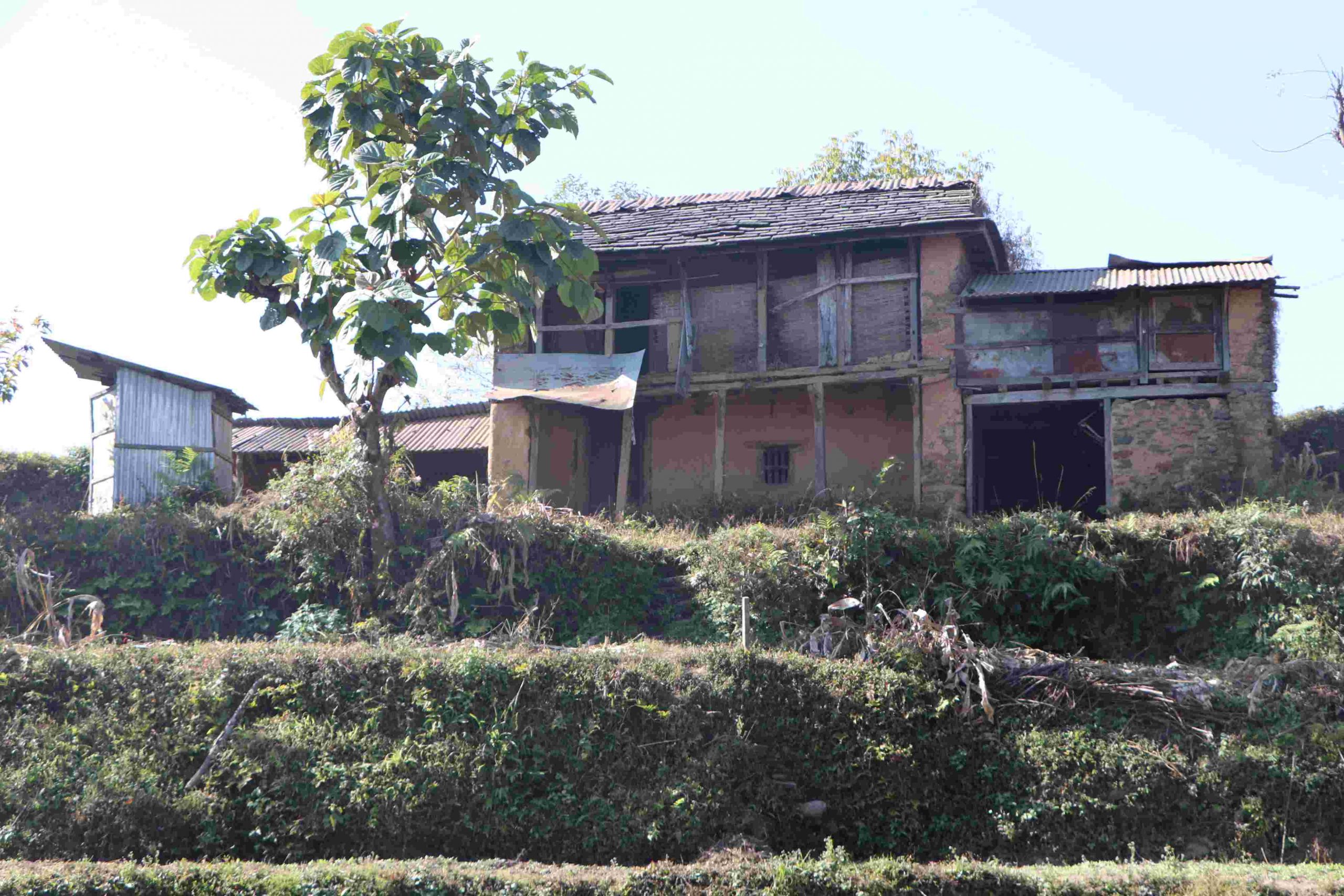 मान्छे बेगरका घरहरु « Greencitypost